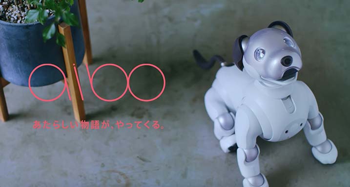 Aibo, “resurrected”! | Sues Nihongo sajt